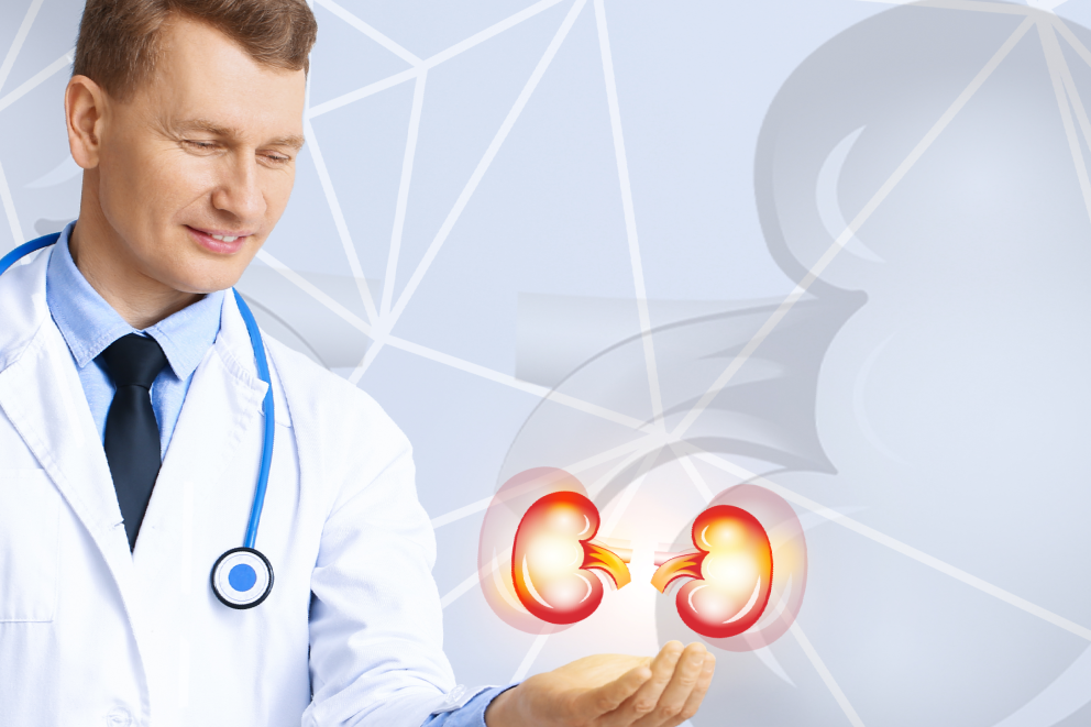 Guide to Dialysis Technician Certification in New Hampshire